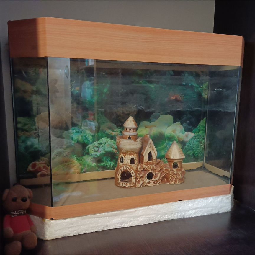 Аквариум, Украшения для аквариума