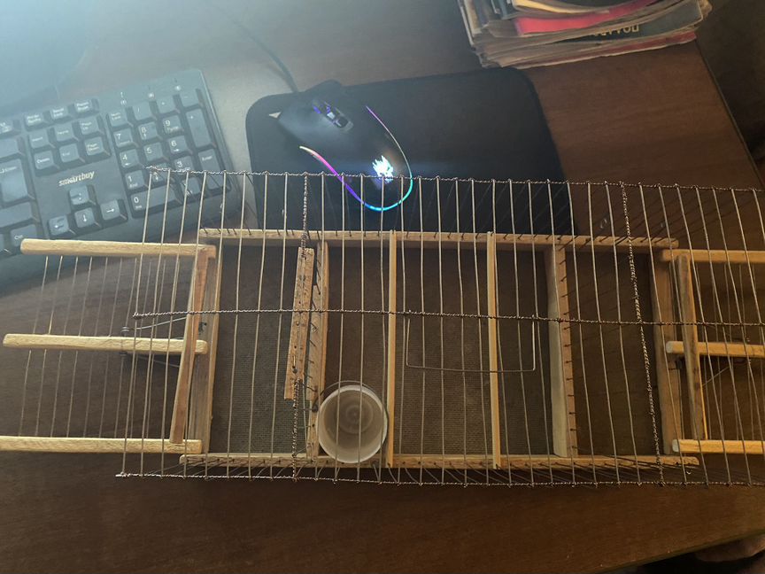 Продам ловушки для птиц