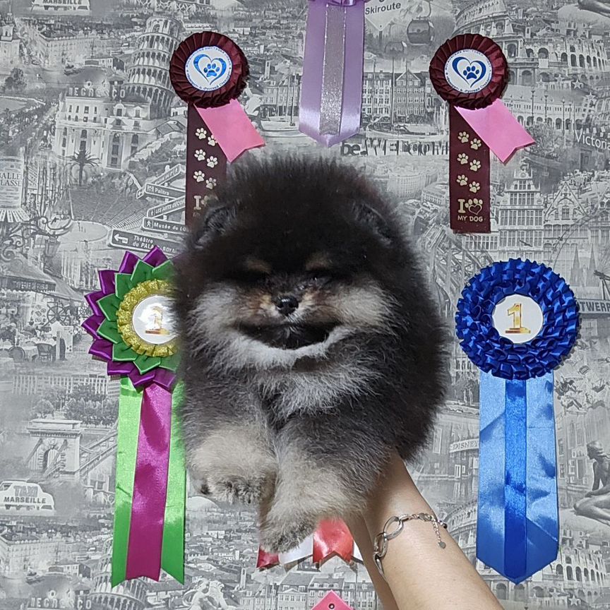 Красивая девочка. РКФ