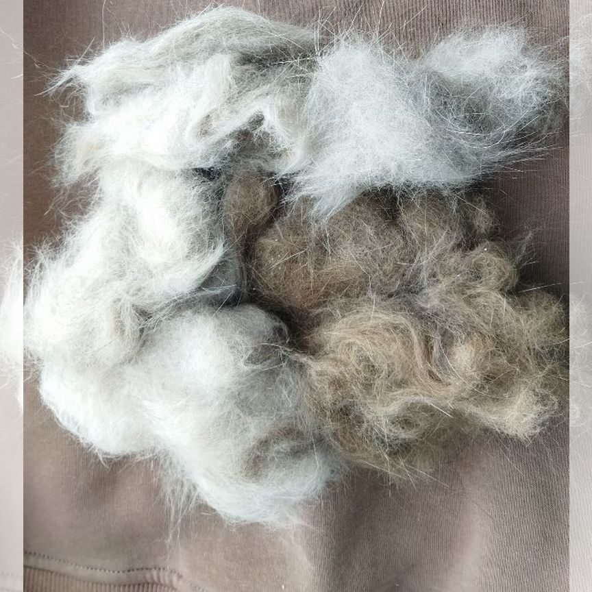 Шерсть и усы кота (для творчества)