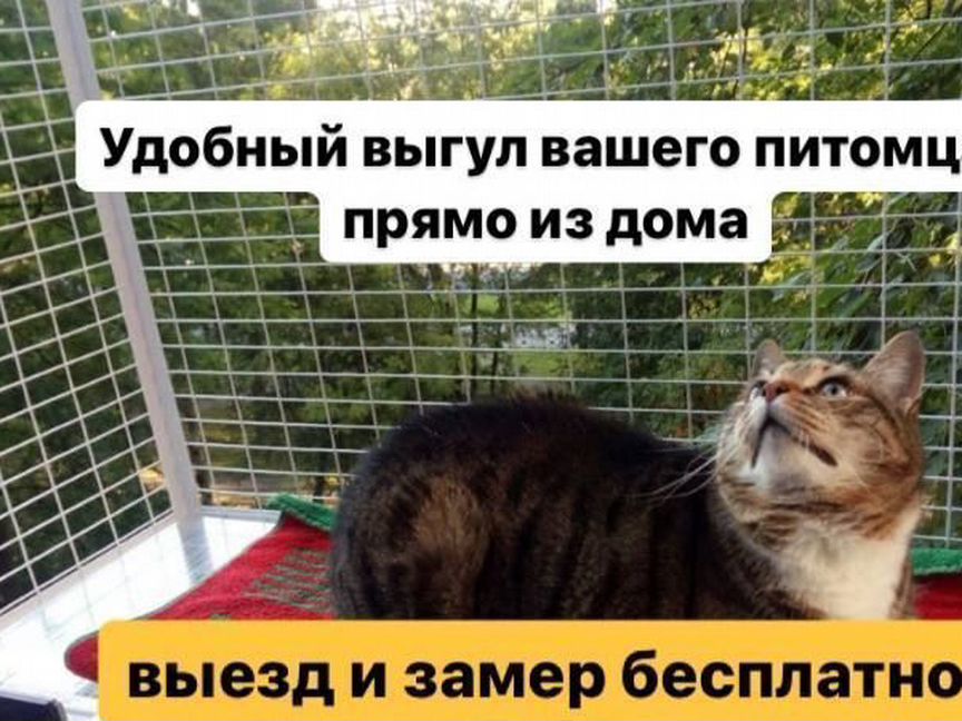Балкончик для выгула кошки