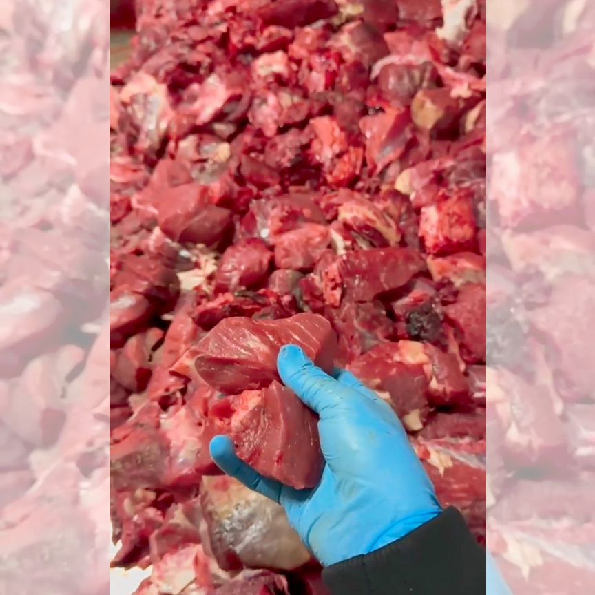 Мясо говядина для собак