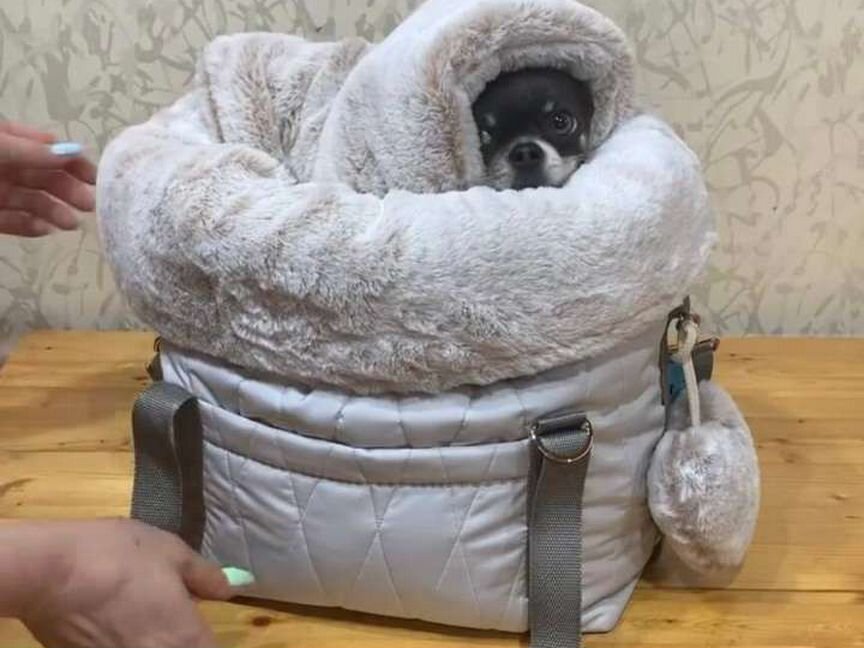 Сумка переноска для собак PetsMuff