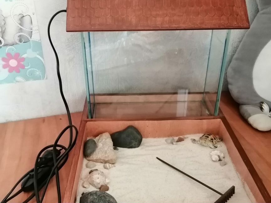 Мини аквариум