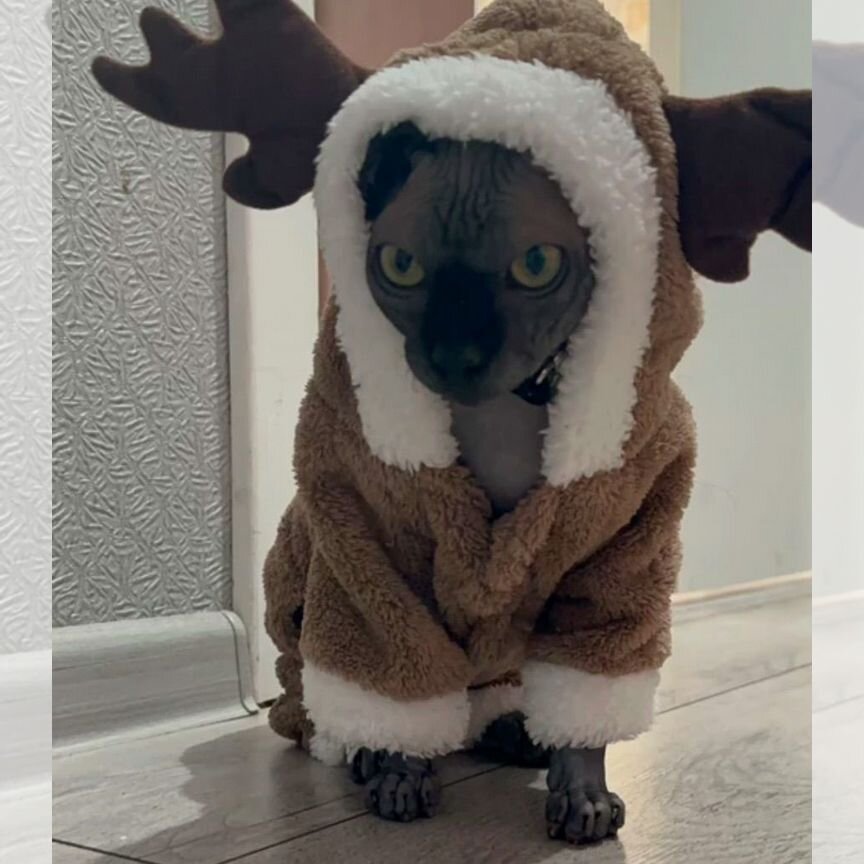 Комбинезон для животных