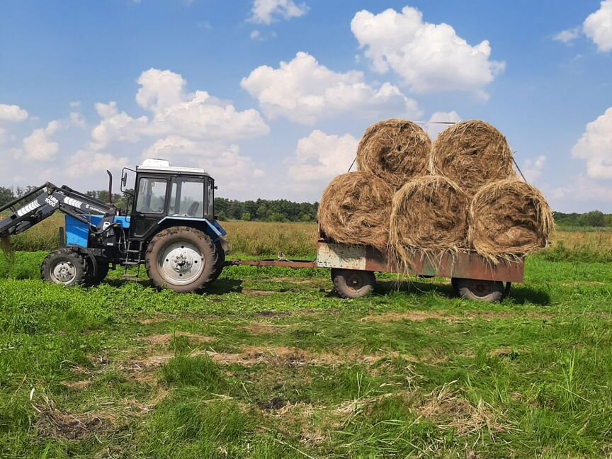 Продам сено в рулонах