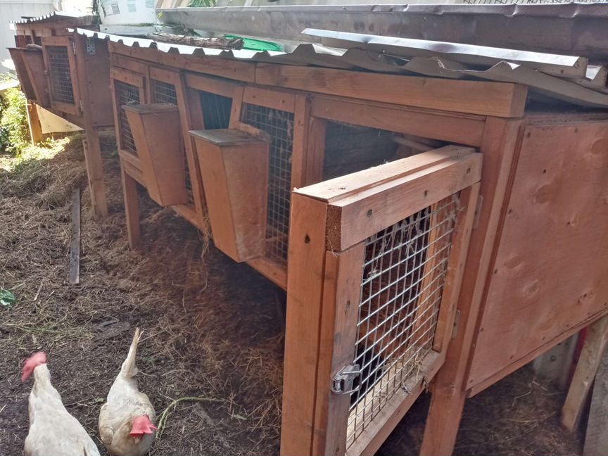 Клетка для разведения кроликов