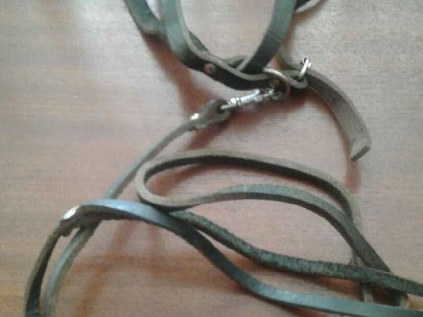 Поводок для выгула собак и кошек