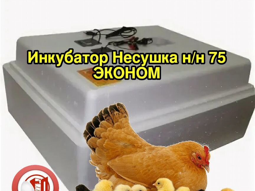 Инкубатор