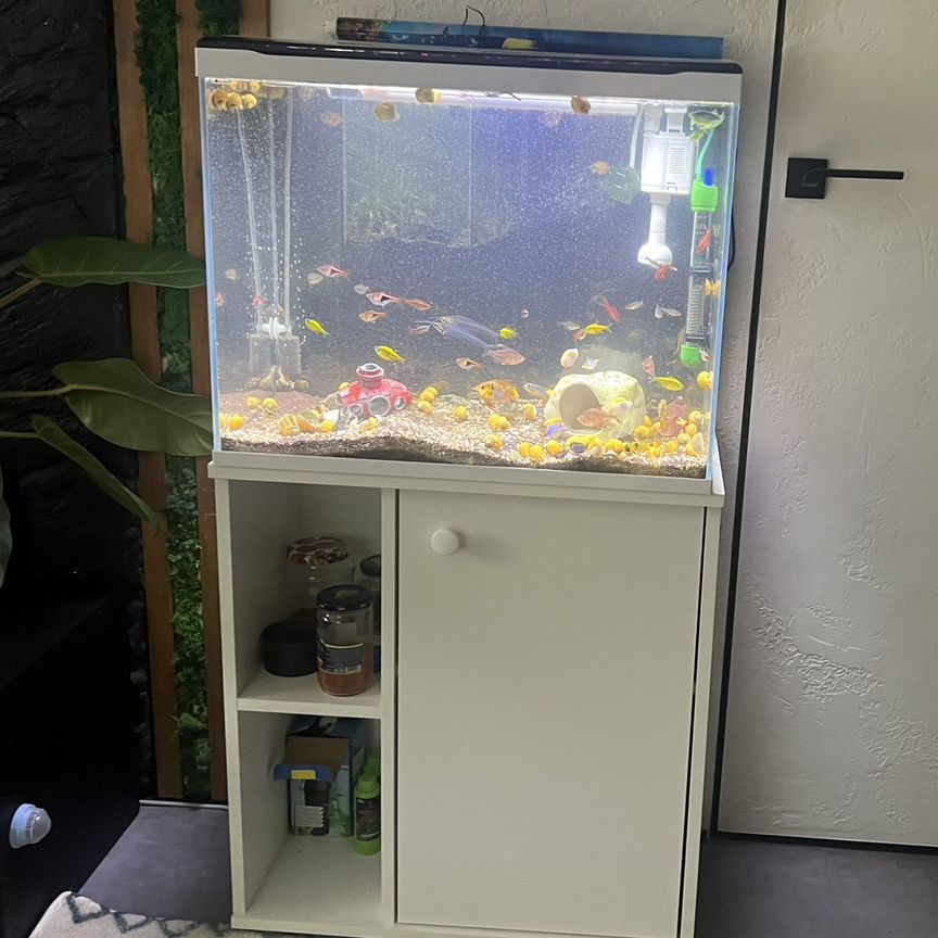 Аквариум barbus 80 литров с тумбой