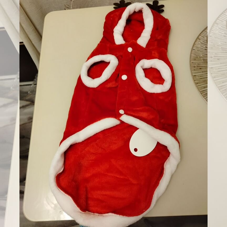 Одежда для собак