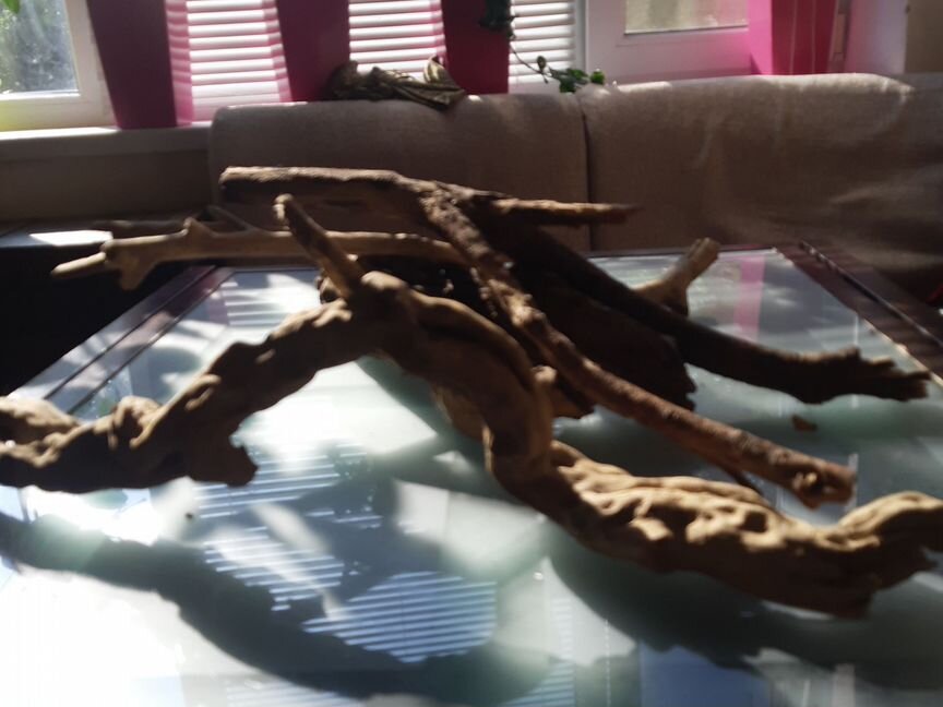 Коряги для аквариума