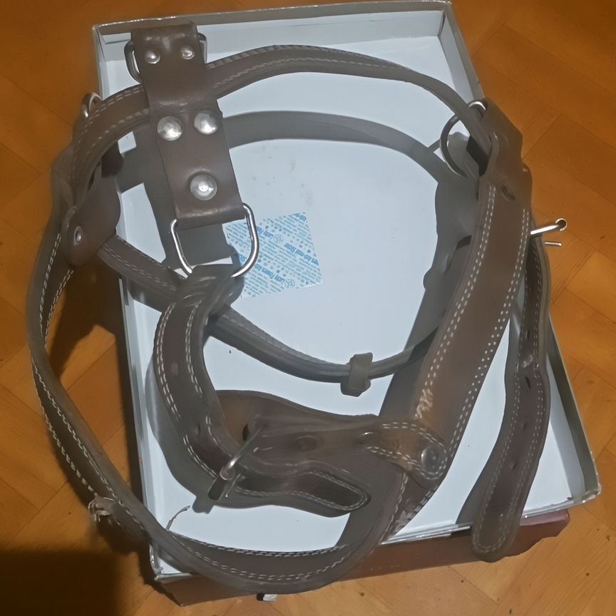 Шлейка для собак крупных пород