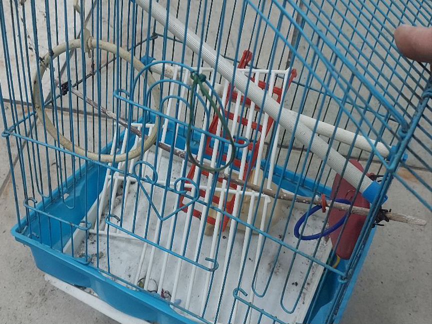 Клетка для волнистого попугая