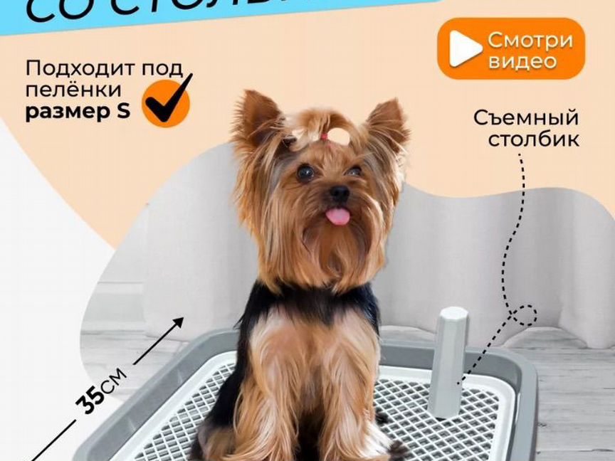 Лоток для собак