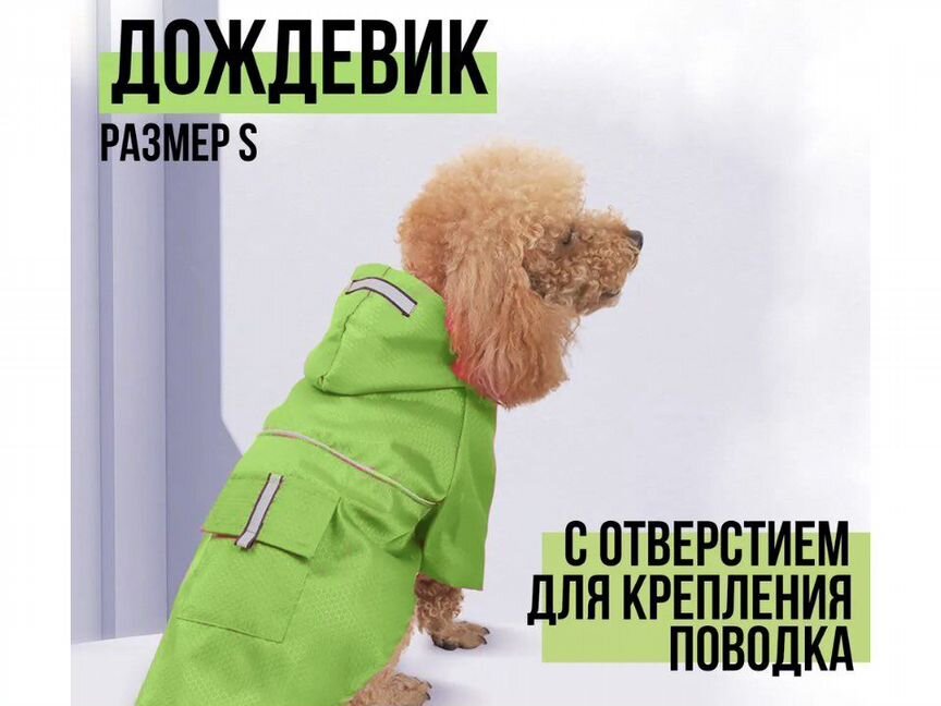Одежда для маленьких собак S