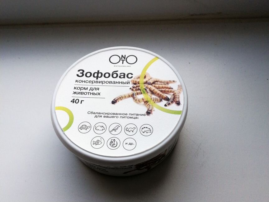 Зофобас консервированный