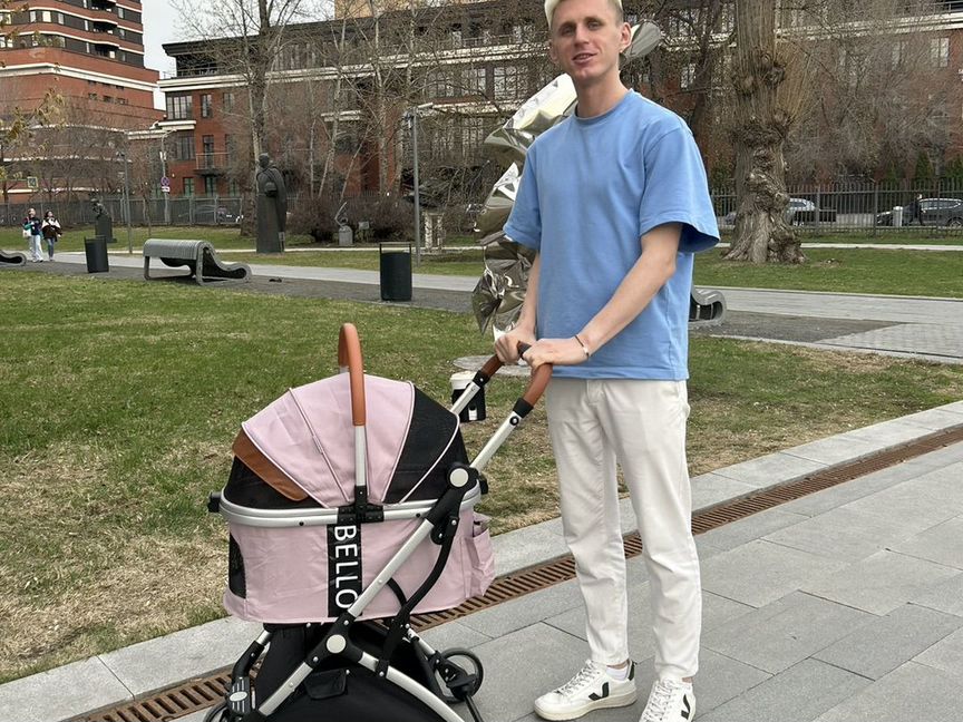 Коляска для кошек и собак
