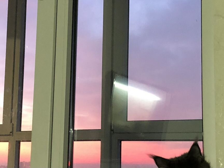 Вязка кошечка мейкун