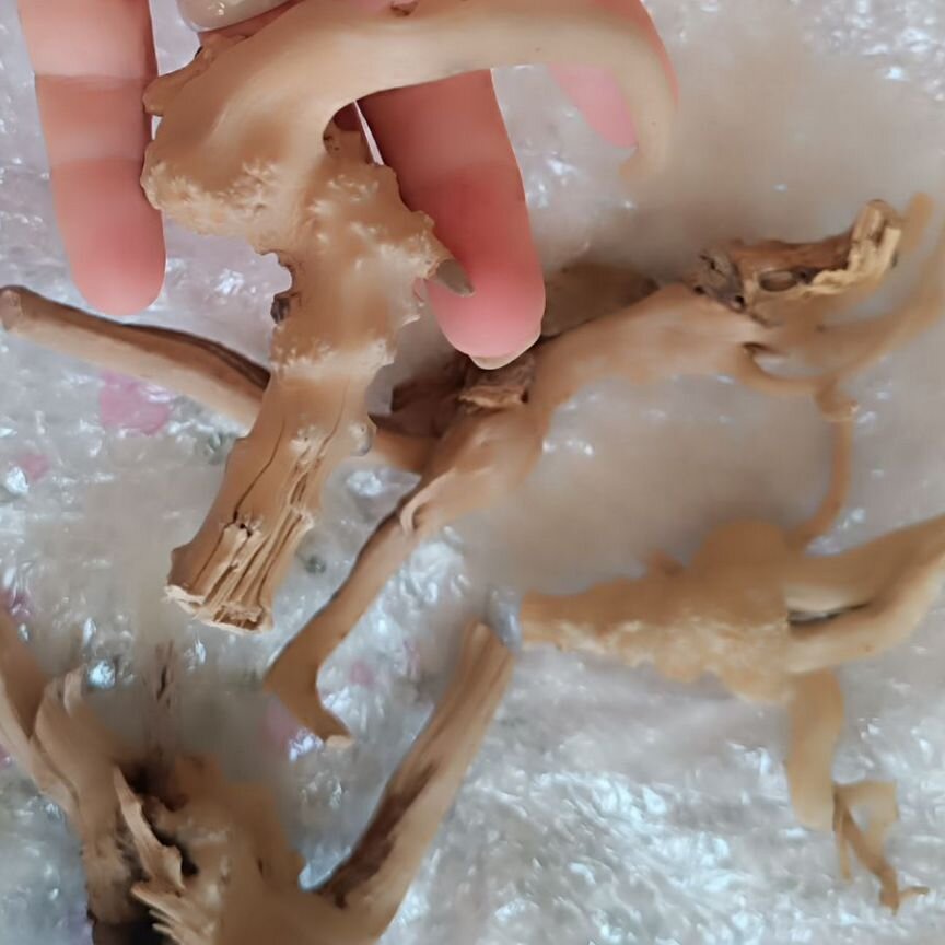 Коряги для аквариума, террариума 4 шт