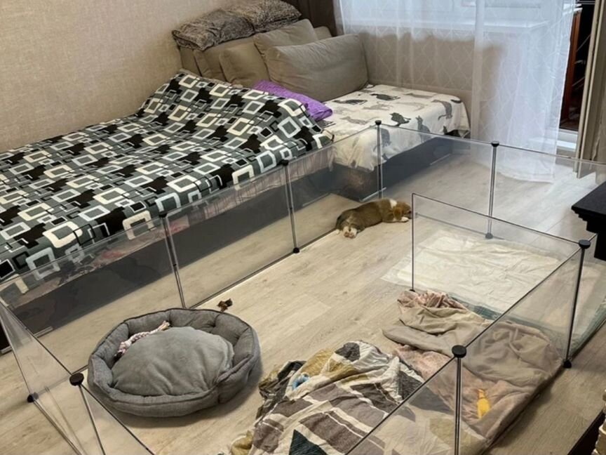 Вольер для кошек/собак и других животных