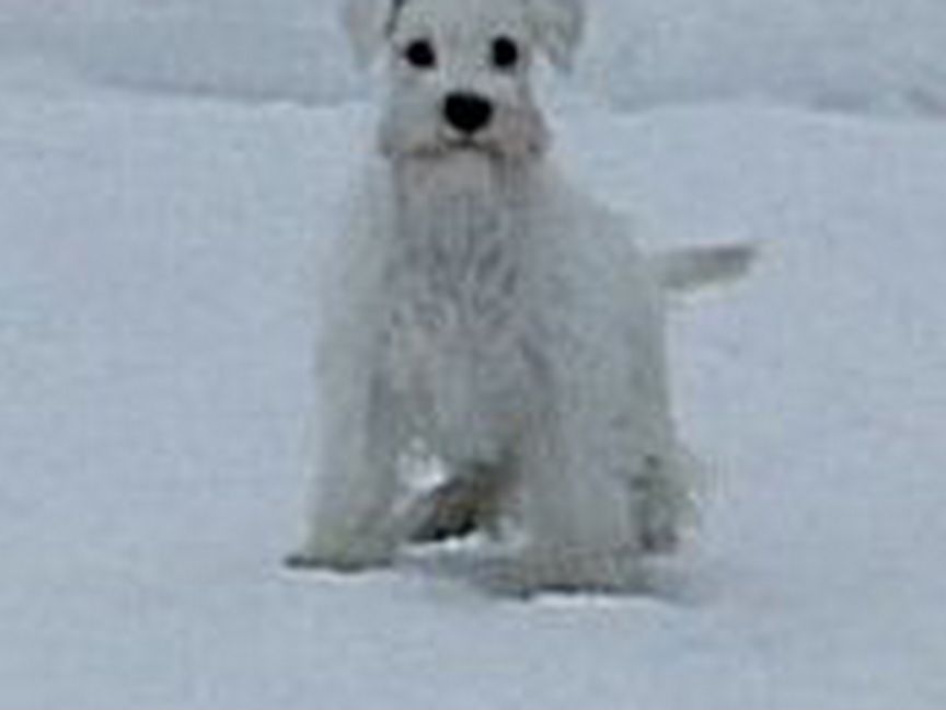 Очень ласковый малыш