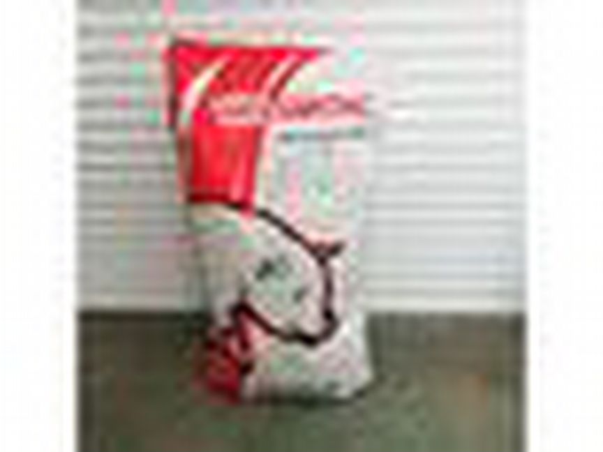 Зом Биолактис Люкс (для поросят) 25 кг