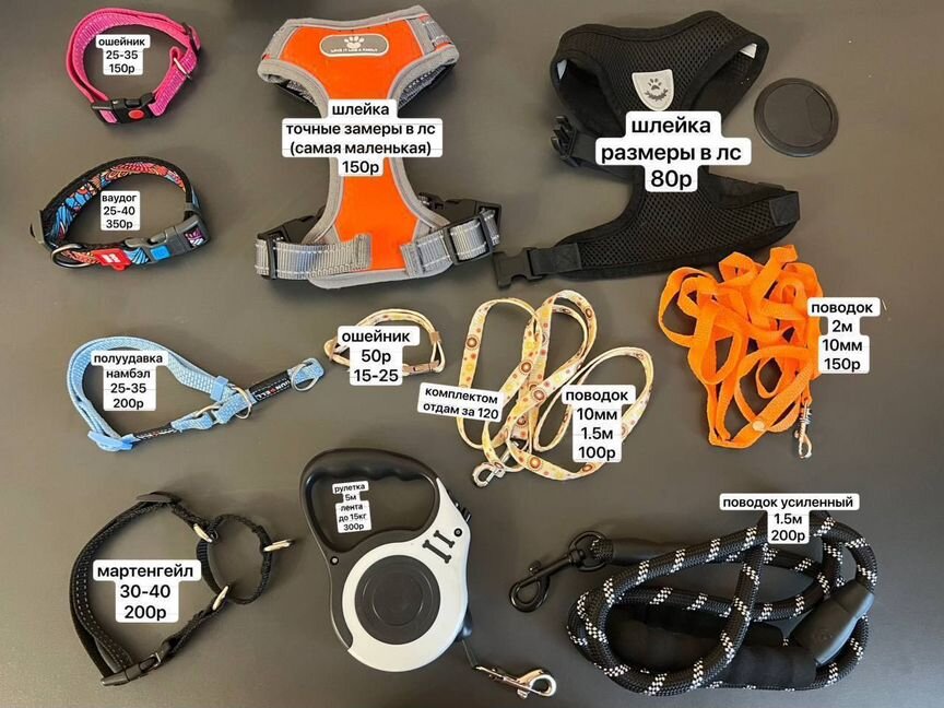 Амуниция для собак