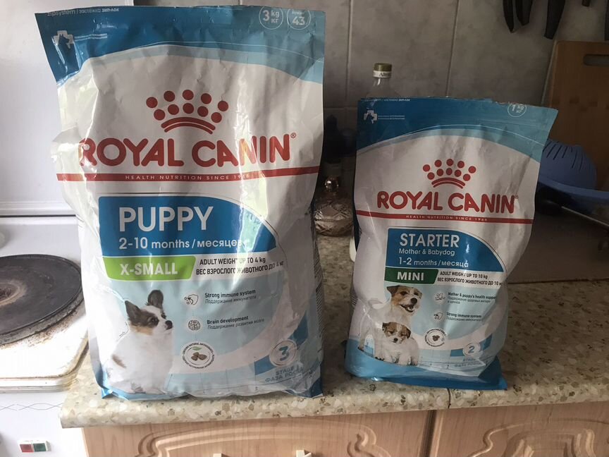 Корм для собак royal canin стартер