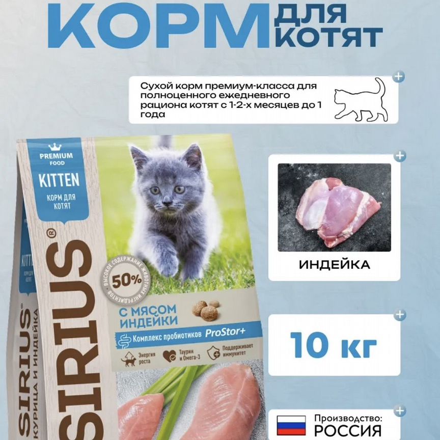 Корм для котят