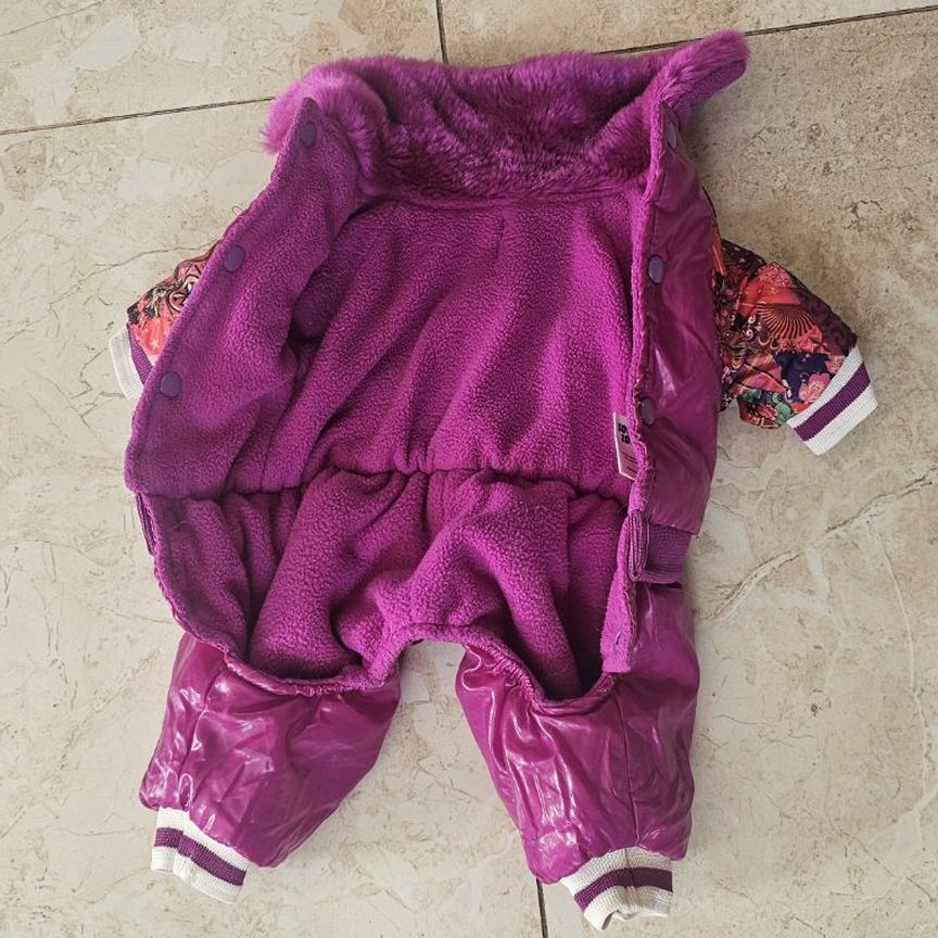 Одежда для собак мелких пород