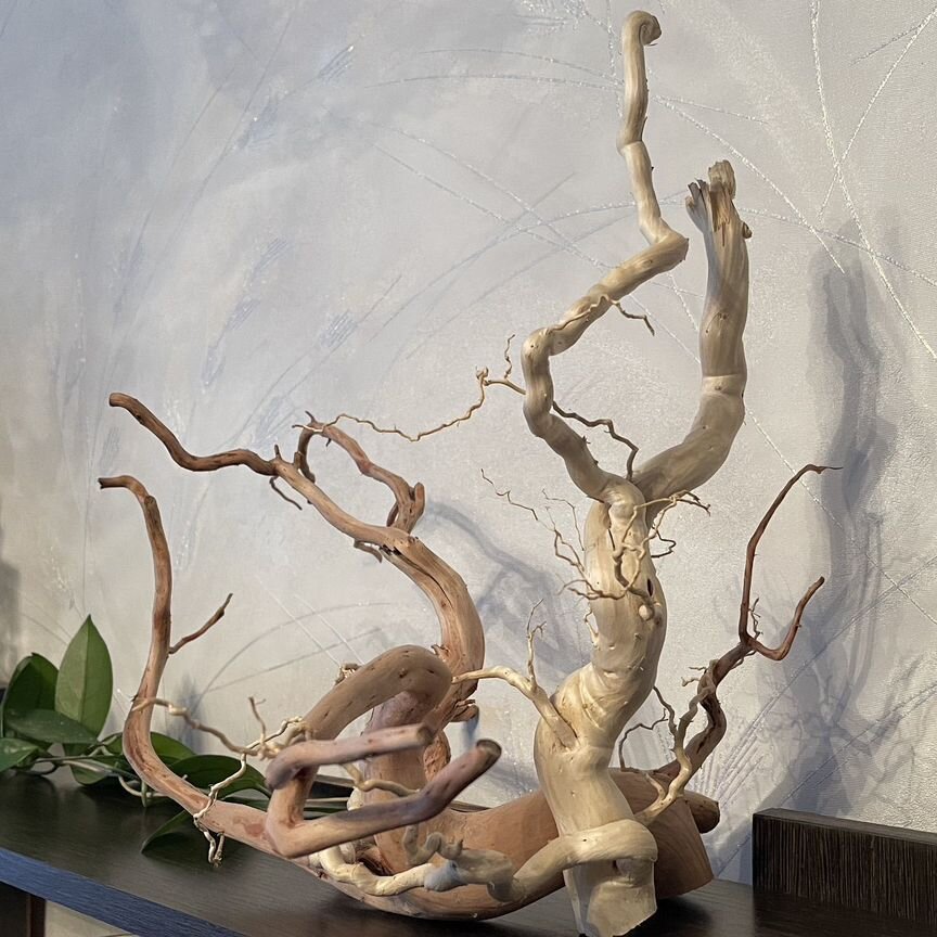 Коряги для аквариума