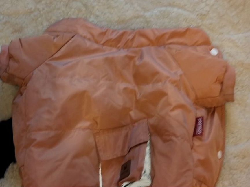 Вещи для маленьких собак