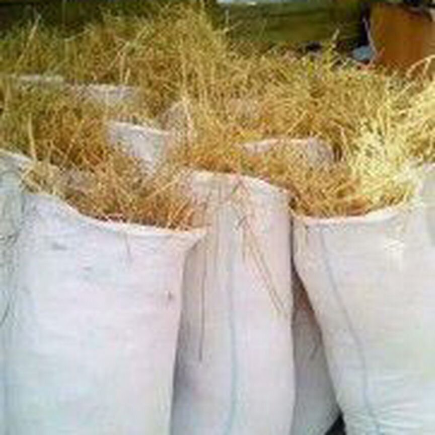 Солома ячменная в мешках