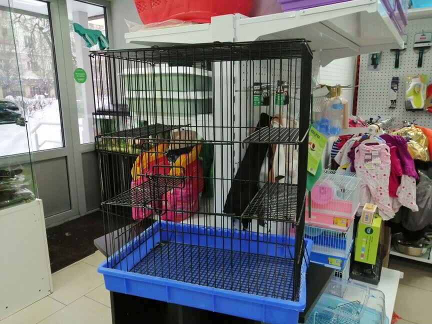 Клетки для грызунов