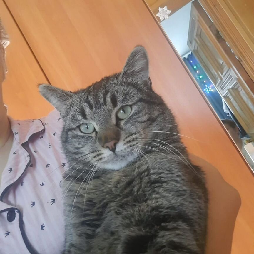 Тигран Котанович в дар