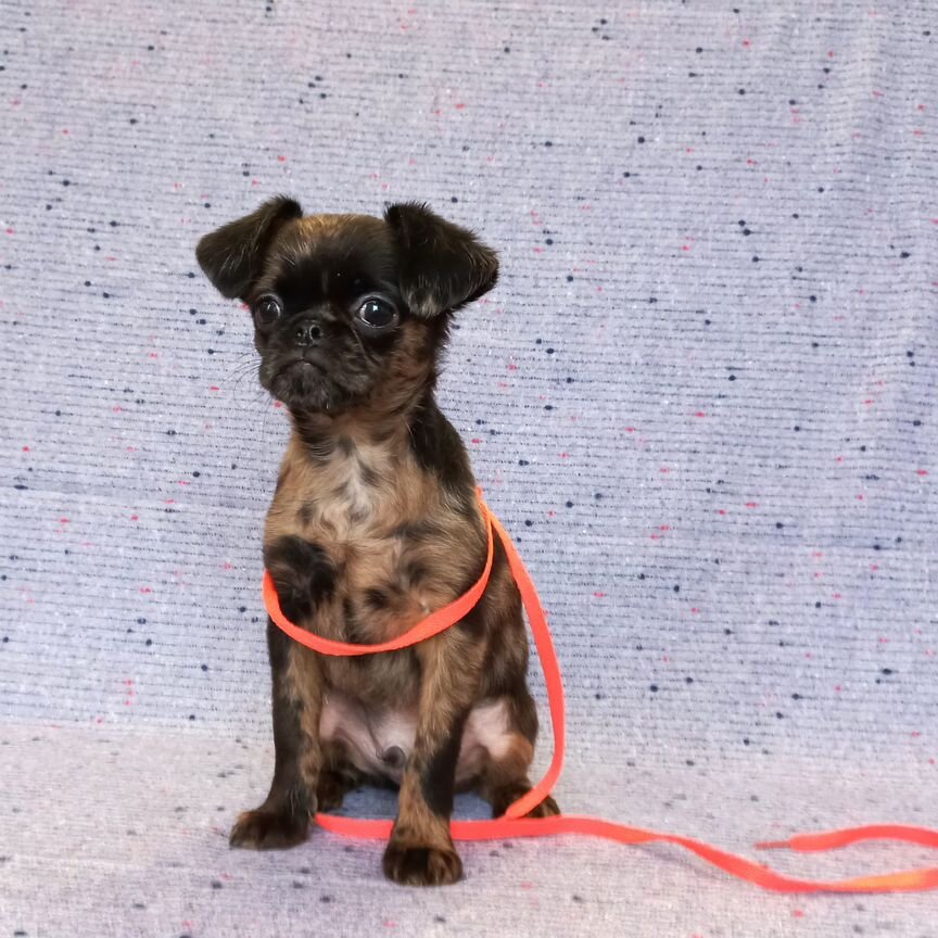 Не такой как все