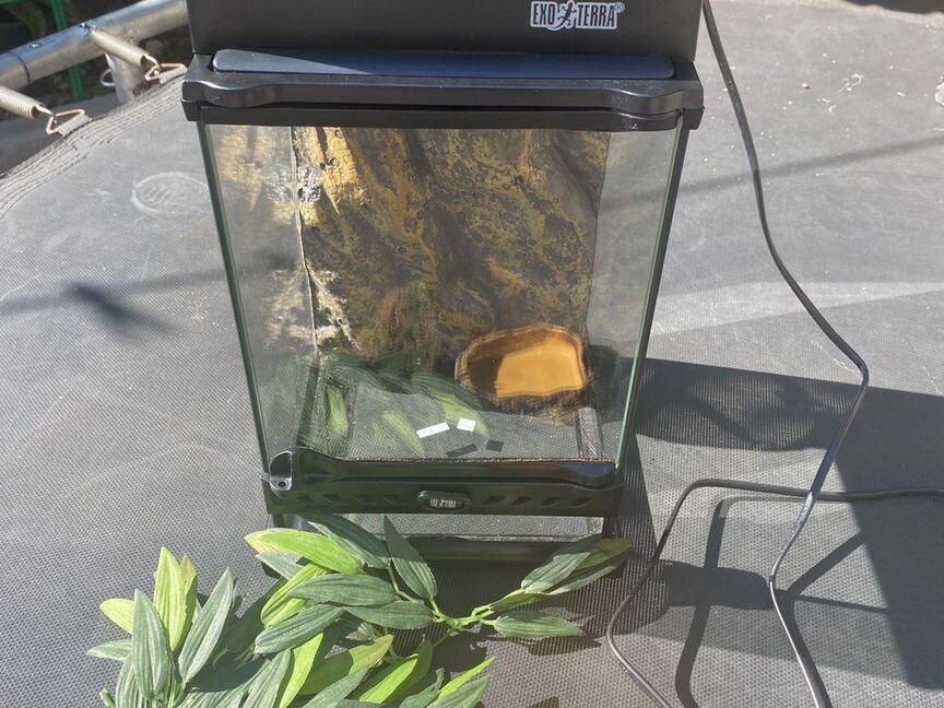 Террариум для рептилий (комплект)