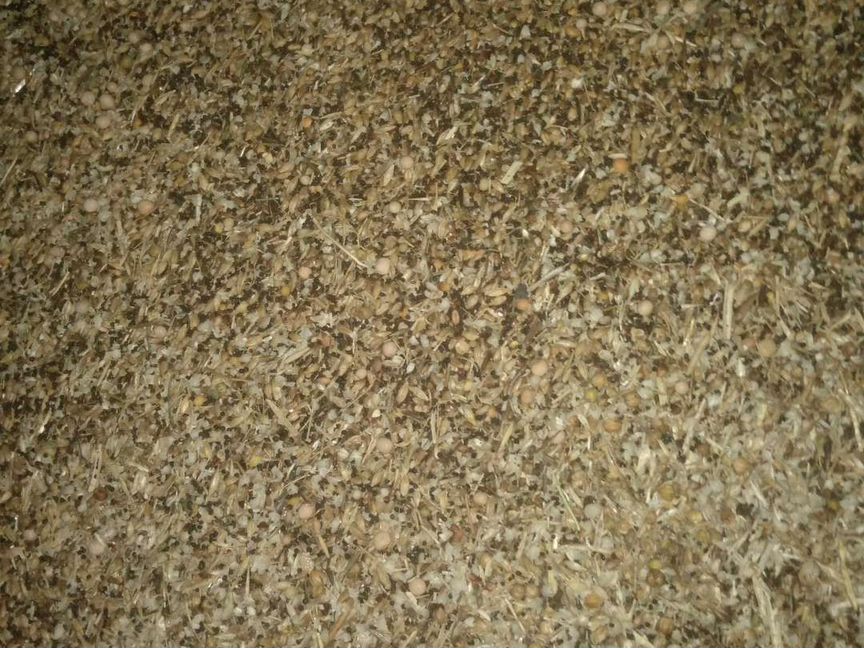 Зерноотходы