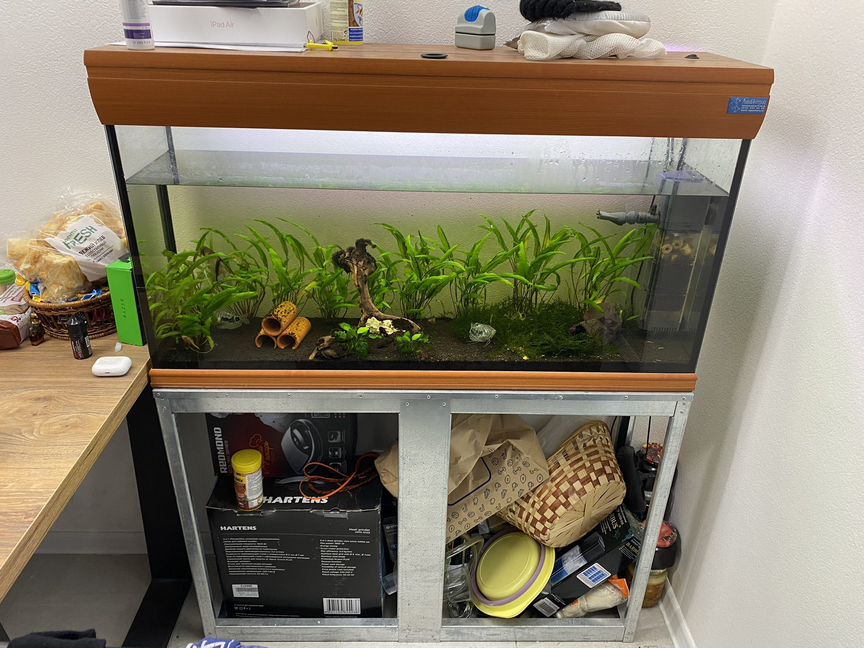 Аквариум с подставкой, фильтр барбус. 125литров