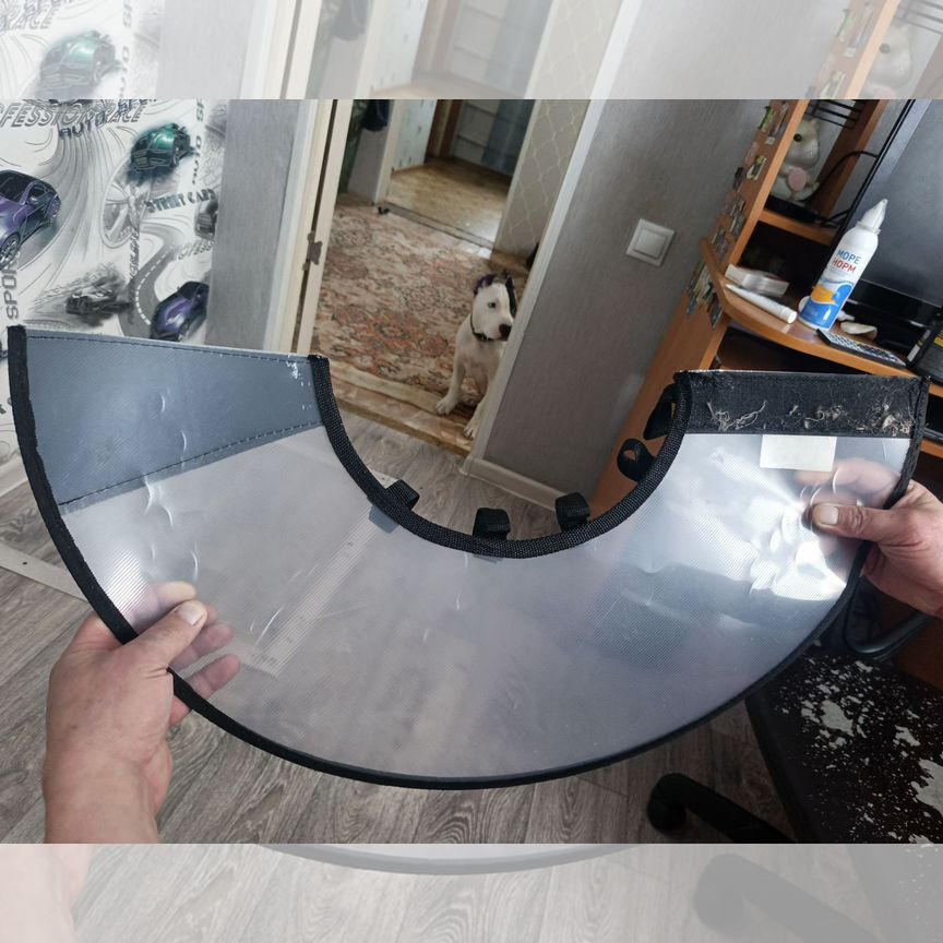 Воротник для щенка