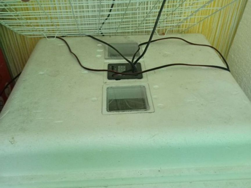 Инкубатор для яиц автоматический несушка