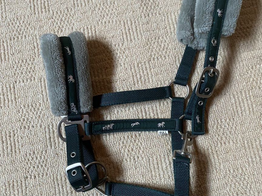 Недоуздок для лошади, вальтрапы