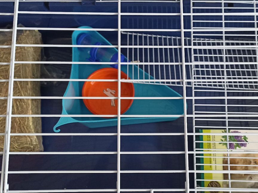 Клетка для грызунов