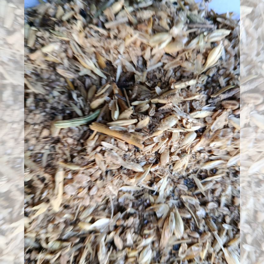 Зерноотходы пшеничные