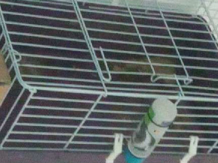 Клетка для кролика