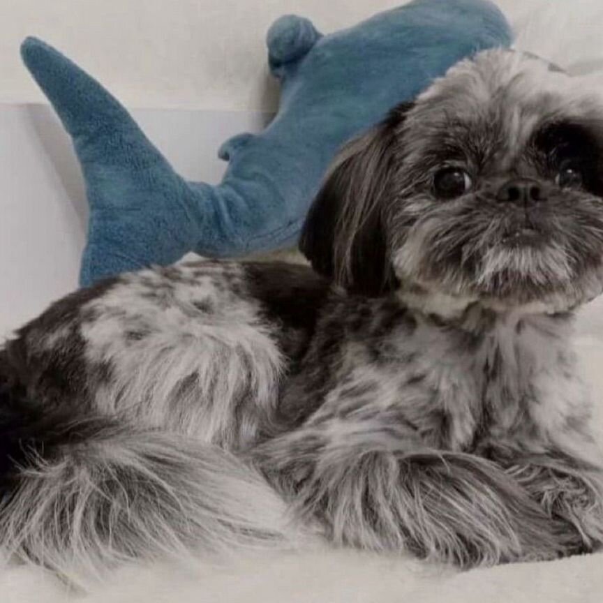 Перец с солью