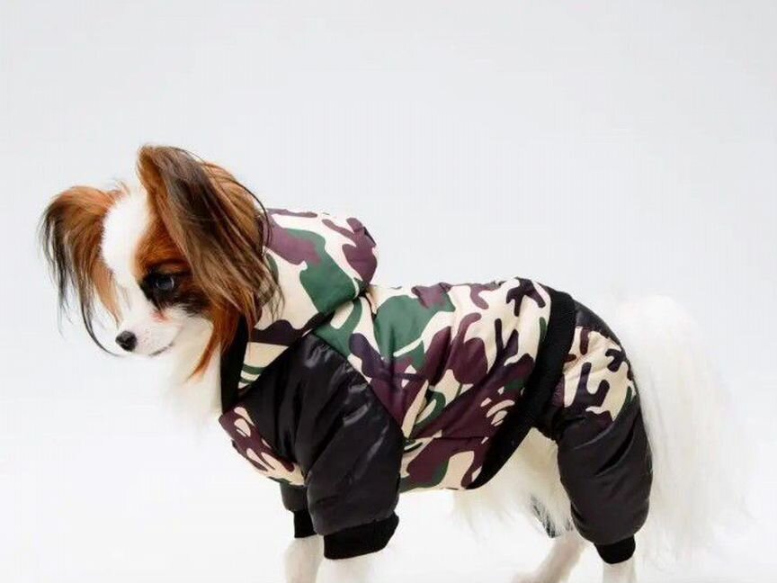 Комбинезон для собак