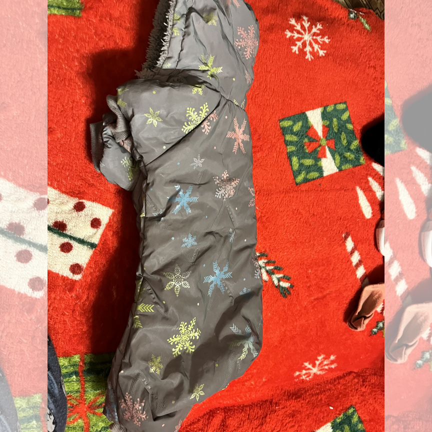 Зимний комбинезон на собаку девочку