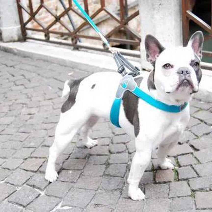 Шлейка мягкая Coralpina 1 размер